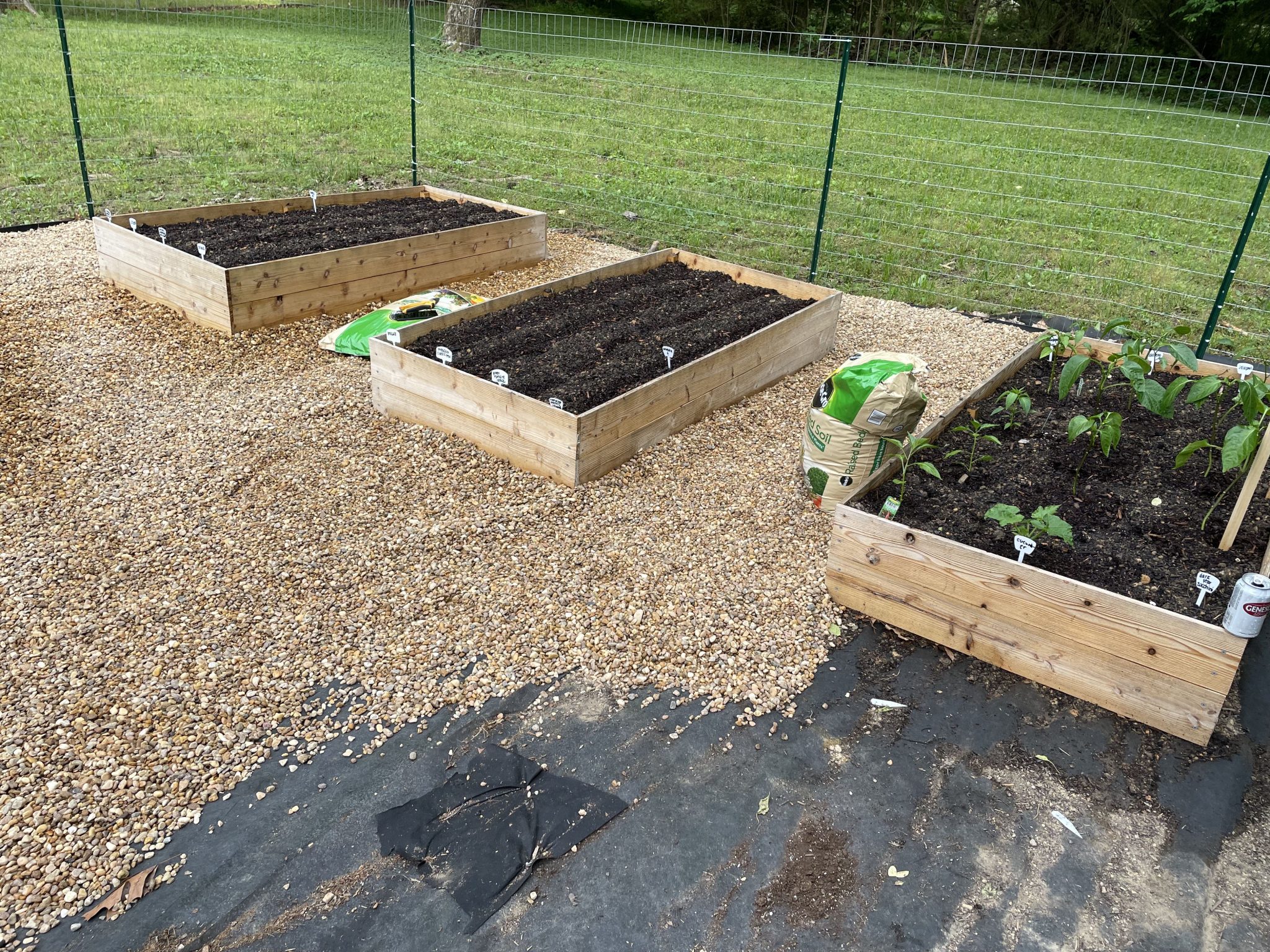 How to Start a Raised Bed Garden - A Simple Life Home