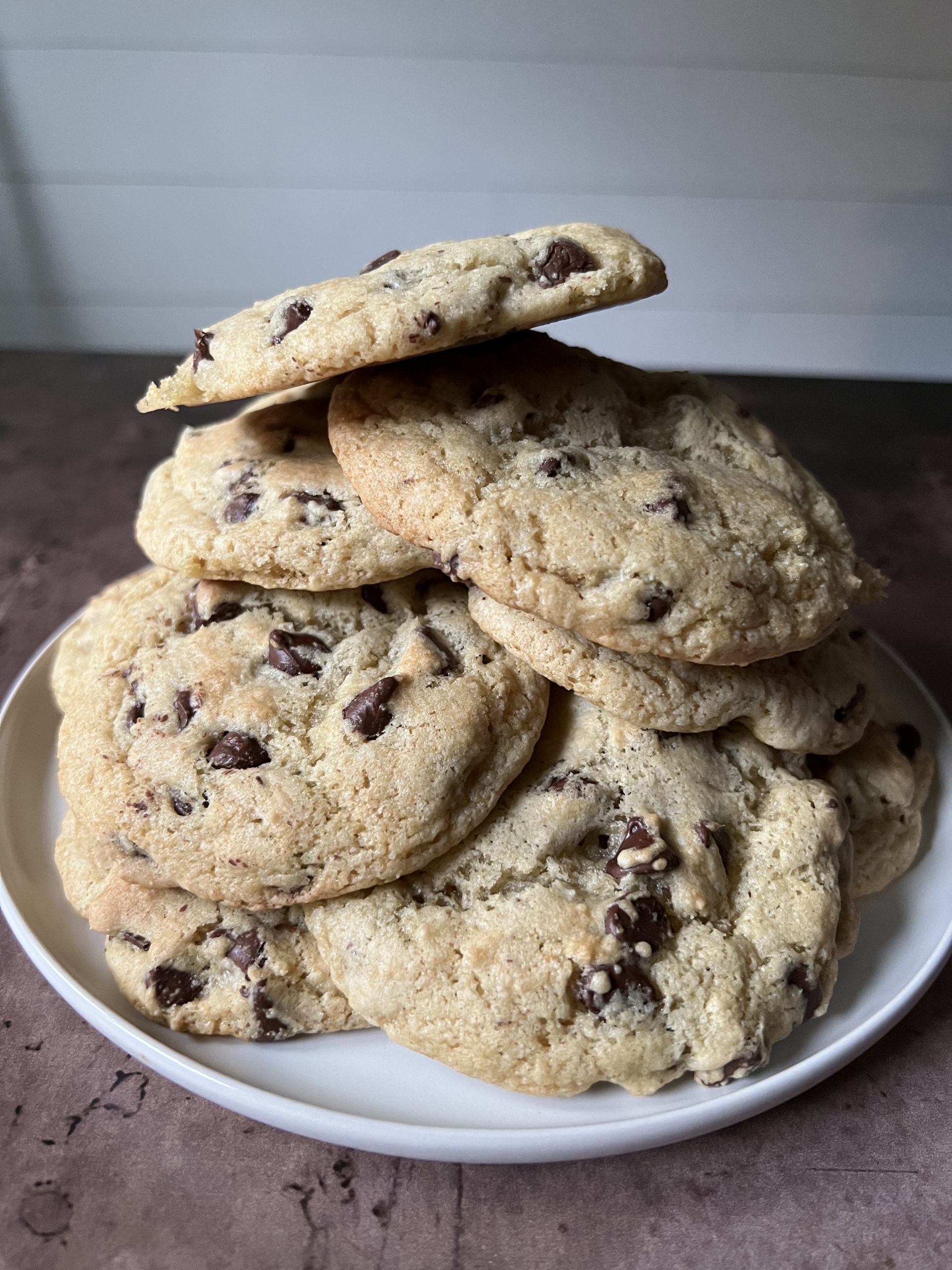 Sourdough Chocolate Chip Cookies Recipe - A Simple Life Home